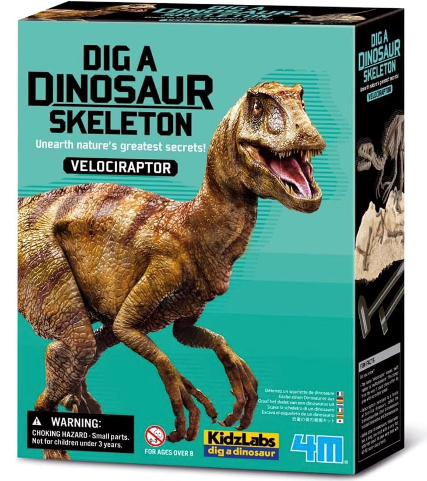 Set de joaca 4M Excavarea dinozaurilor, velociraptor - cumpăra cu ...